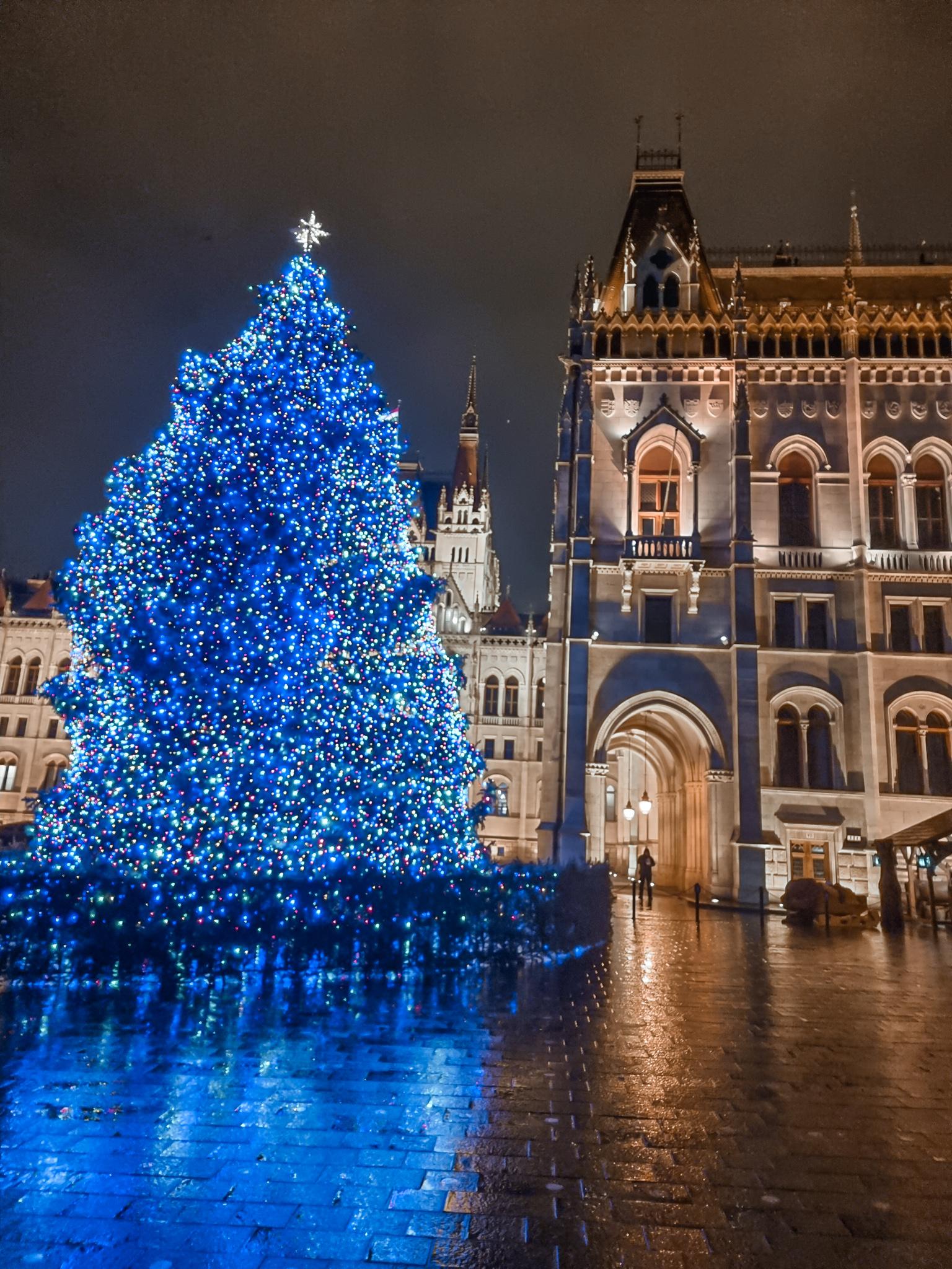 Best Christmas Markets You'll Love in Budapest, Hungary The Elegant ...