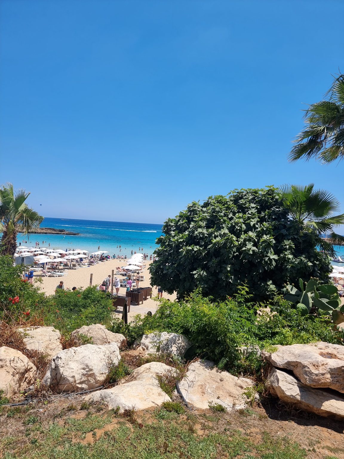 Cyprus Ultimate Travel Guide: Best Things To Do In Cyprus - The Elegant ...